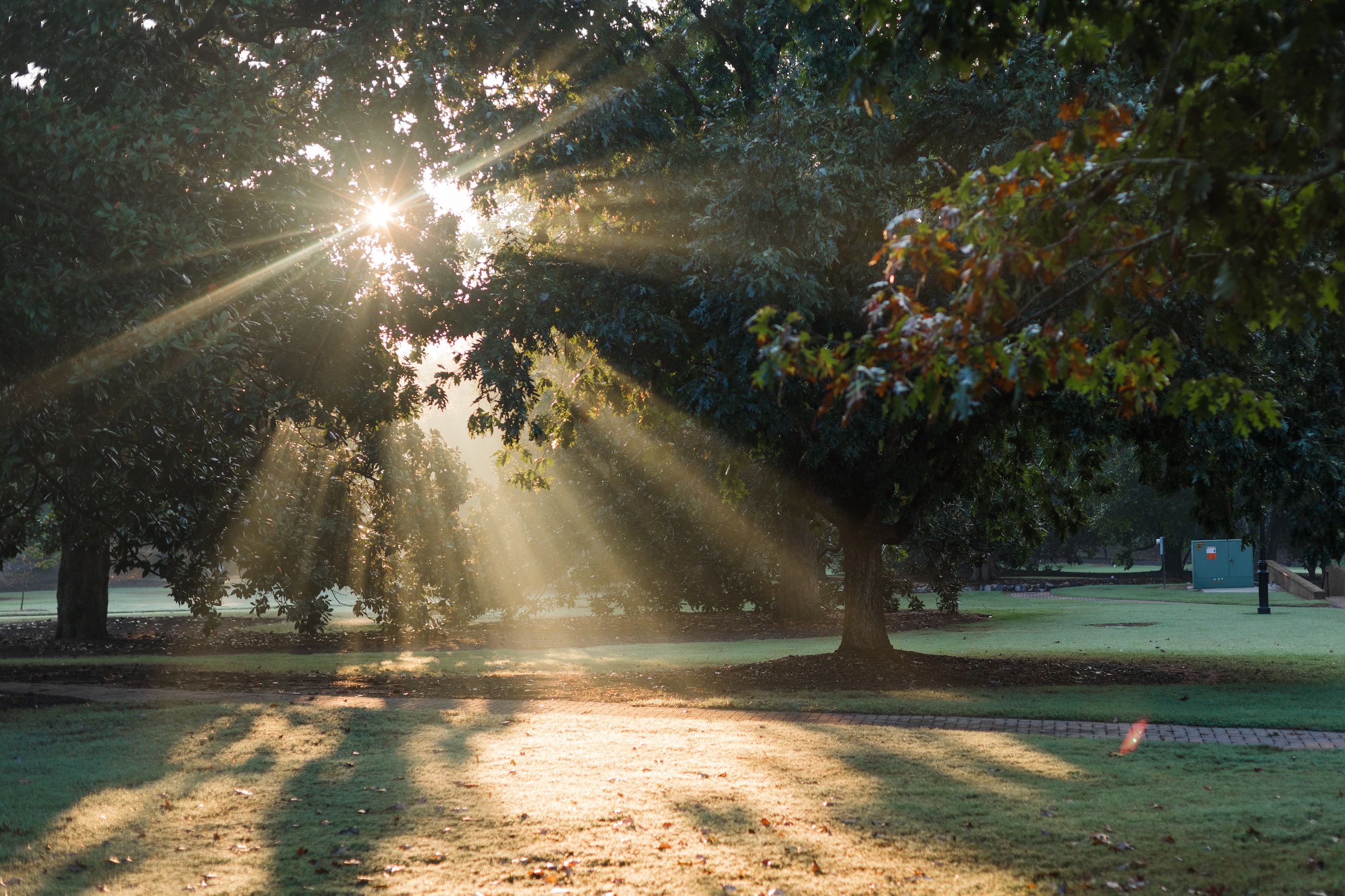 What Is True Flourishing, and Where Can It Be Found? - Christ and Culture