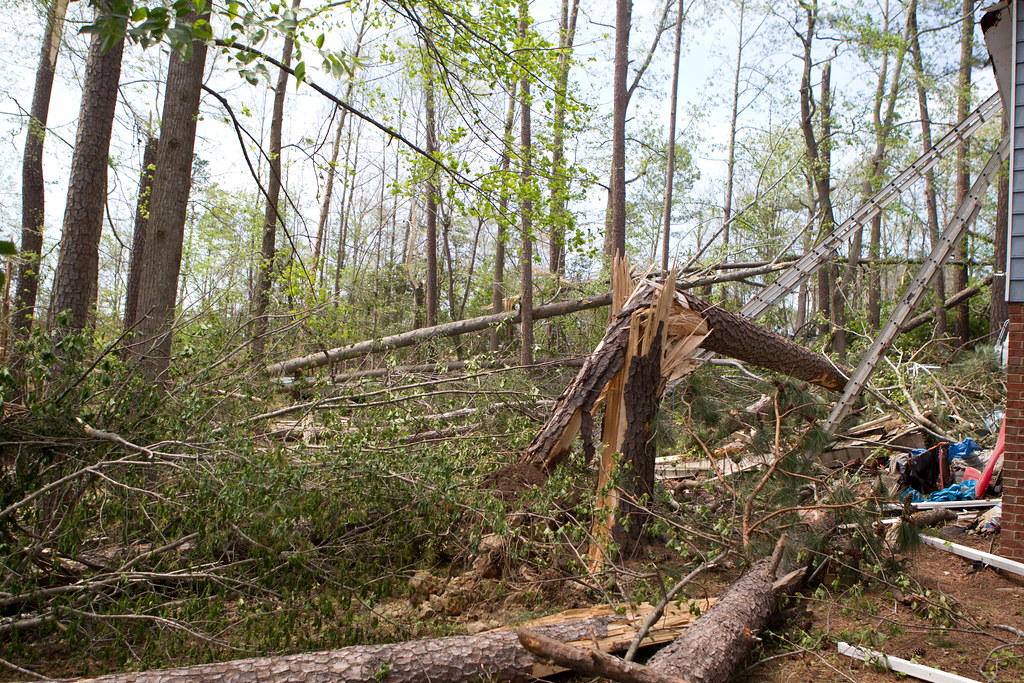 After Hurricane Helene: Pray and Act - Christ and Culture