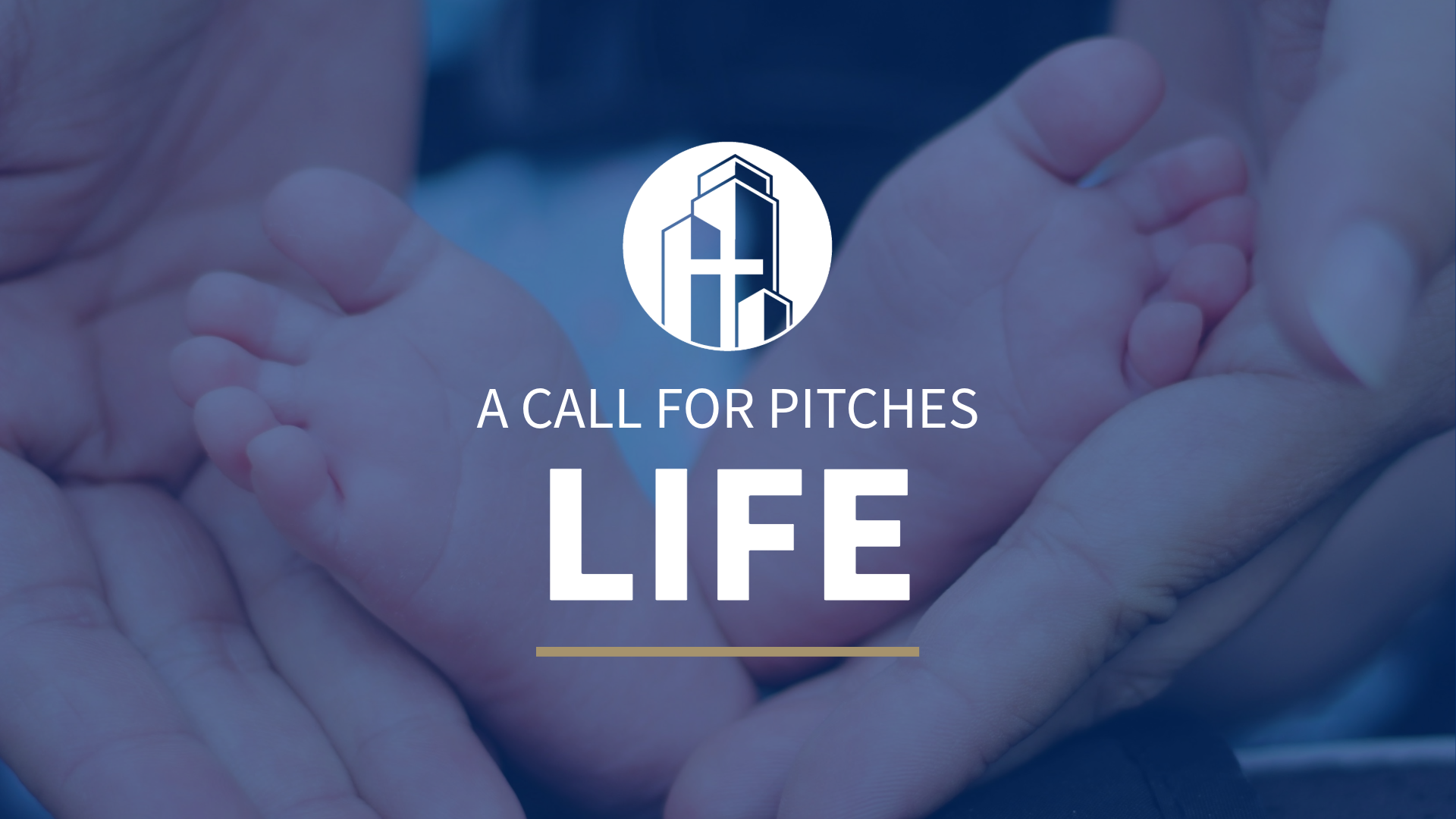 Call for Pitches: The Way of Christ in Life - Christ and Culture